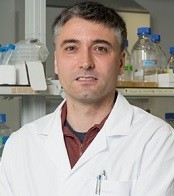 About the Guest Editors | Inflammatory bowel diseases