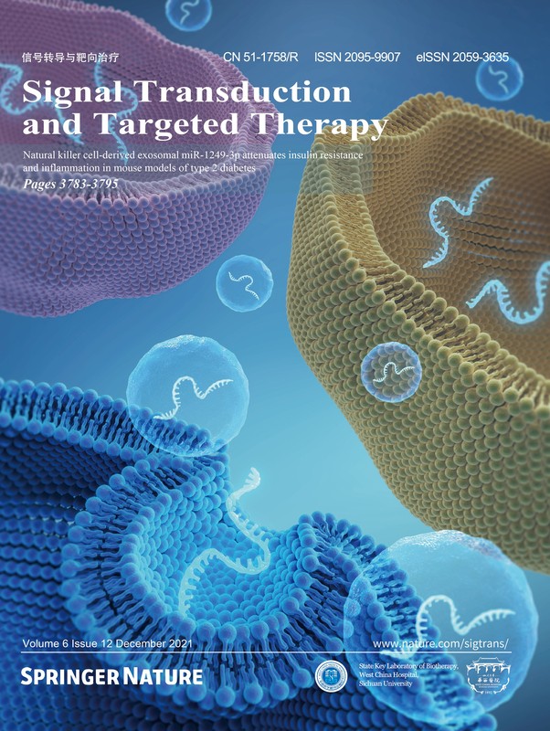 Cover Gallery 2021 | Signal Transduction and Targeted Therapy