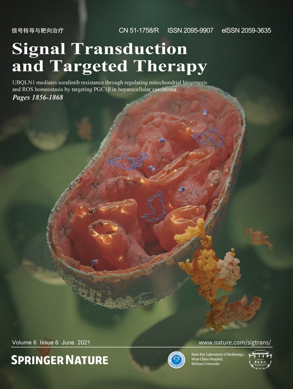 Cover Gallery 2021 | Signal Transduction and Targeted Therapy