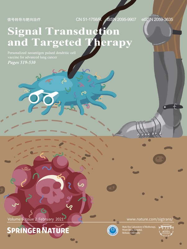 Cover Gallery 2021 | Signal Transduction and Targeted Therapy