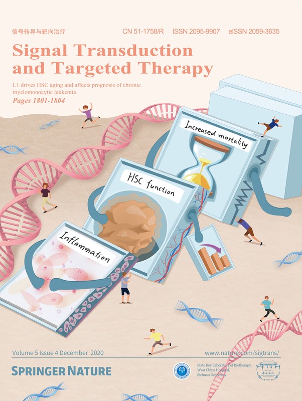 Cover Gallery 2020 | Signal Transduction and Targeted Therapy