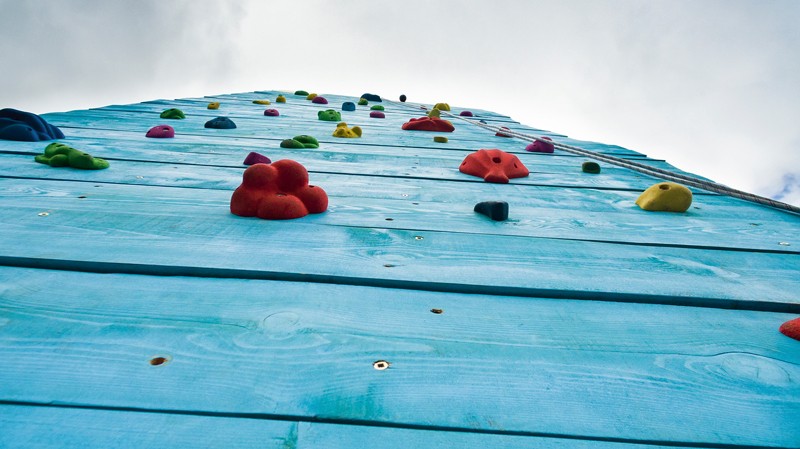 Transferrin’ across the blood–brain barrier