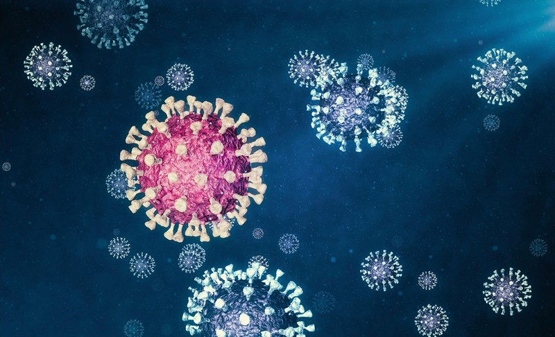 Immune status could determine efficacy of COVID-19 therapies