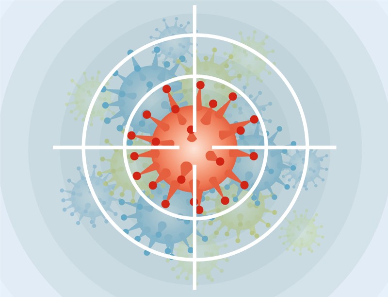 Targeting viruses in their phase