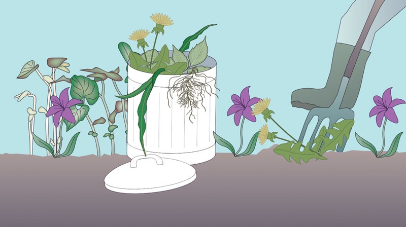 Weeding out toxic RNA in Huntington disease