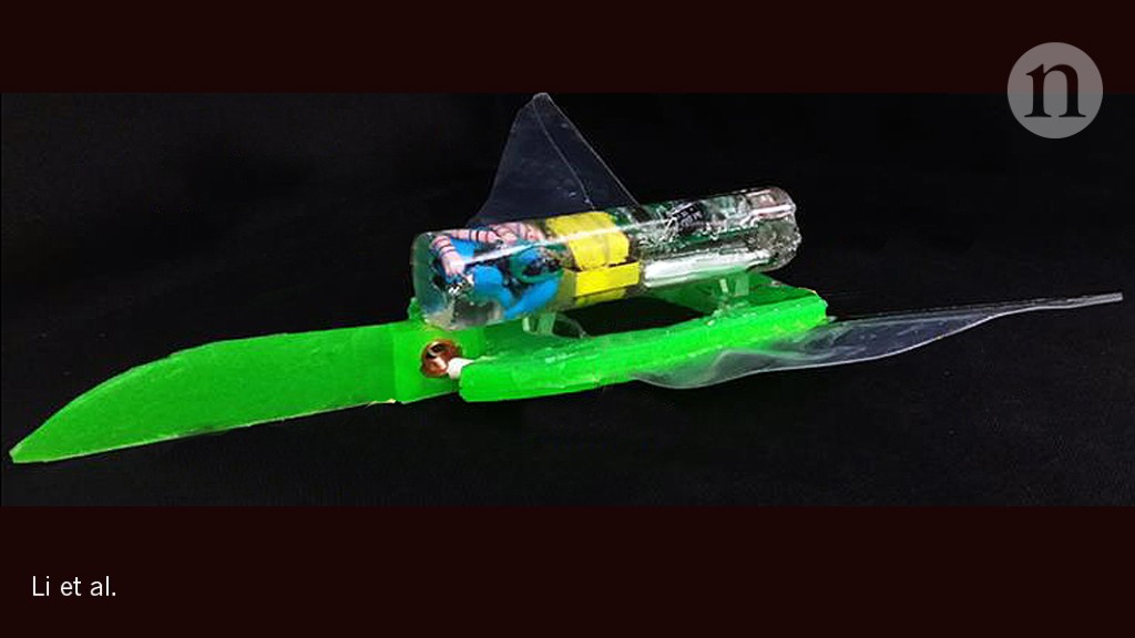 Fish-inspired robot leaves rivals in its wake