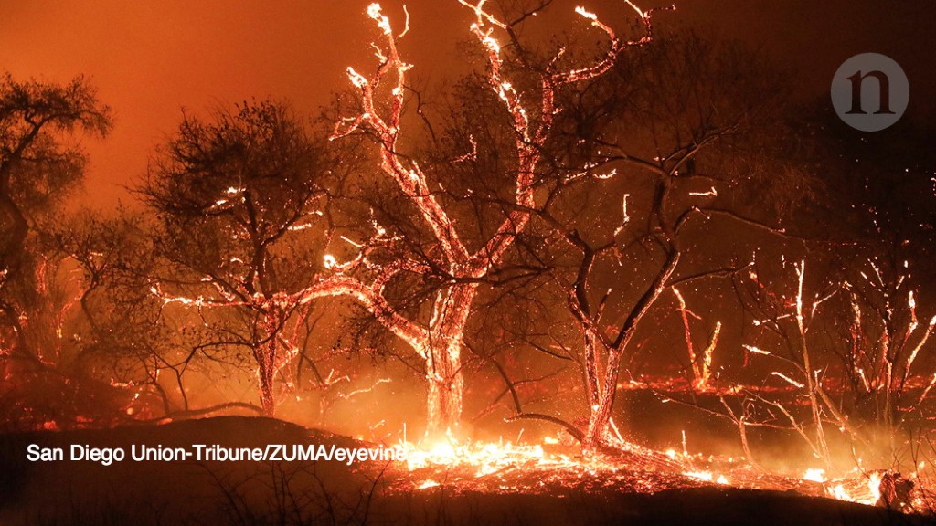 2017 in news: The science events that shaped the year
