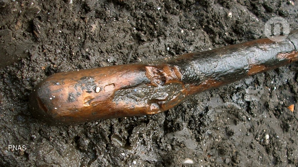 Oldest known multipurpose tool was forged in fire