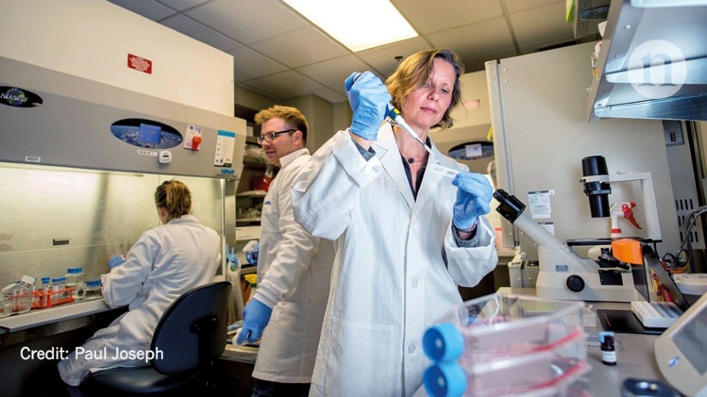 The battle to tame autoimmunity