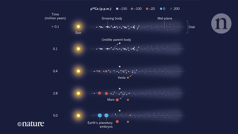 Calcium signals in planetary embryos