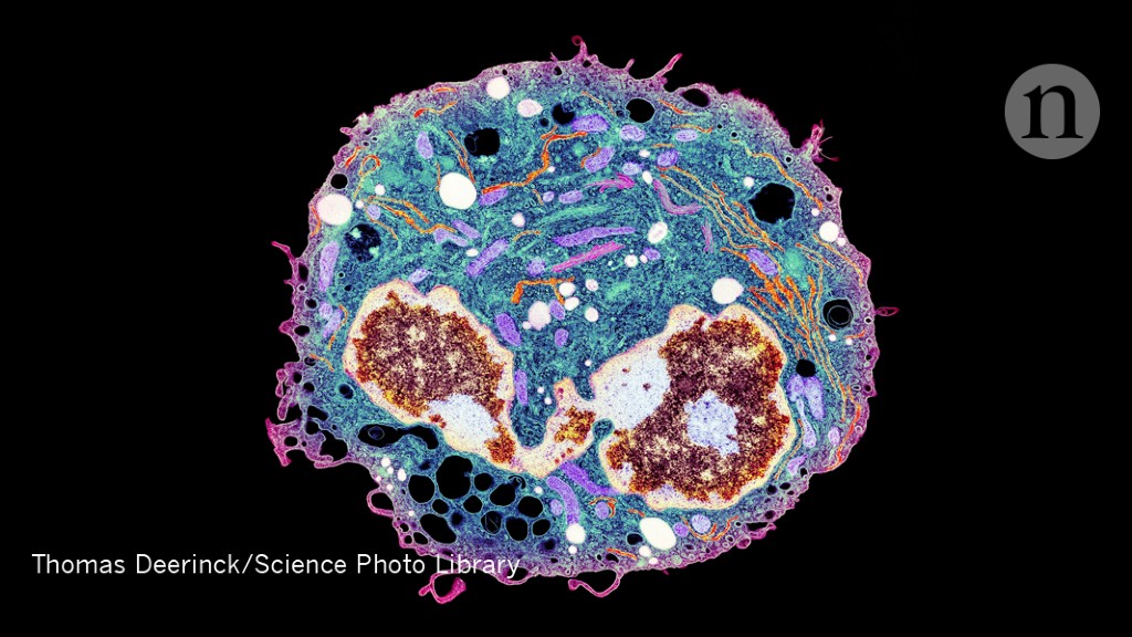 S﻿ingle-cell approaches to immune profiling