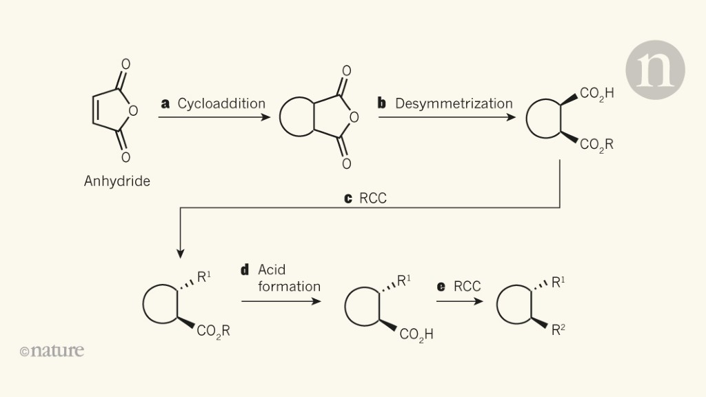 Reaction combination opens up 3D molecular diversity for drug discovery