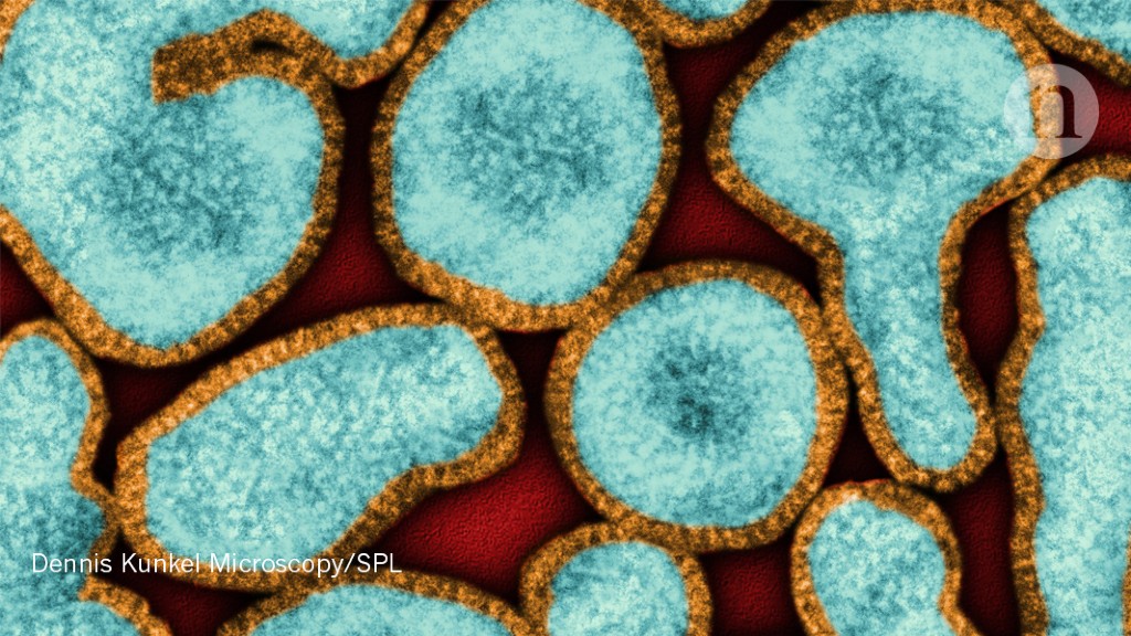 Meagre ranks of anti-flu drugs look set to grow