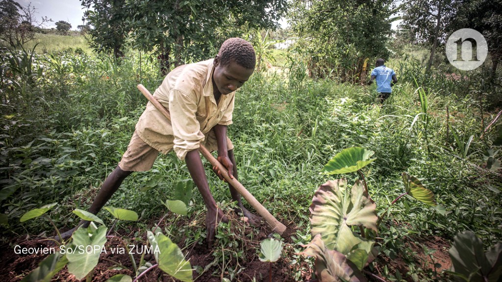 Big-data project aims to transform farming in world’s poorest countries
