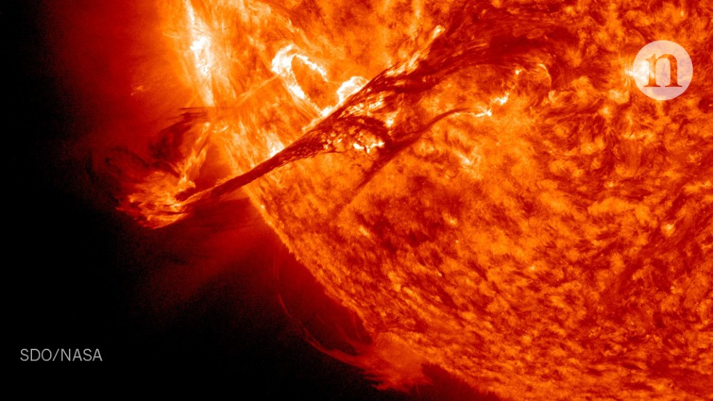 Solar flair: the Sun on show