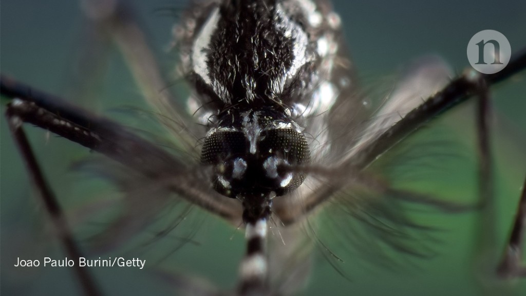 Improved mosquito genome points to population-control strategies