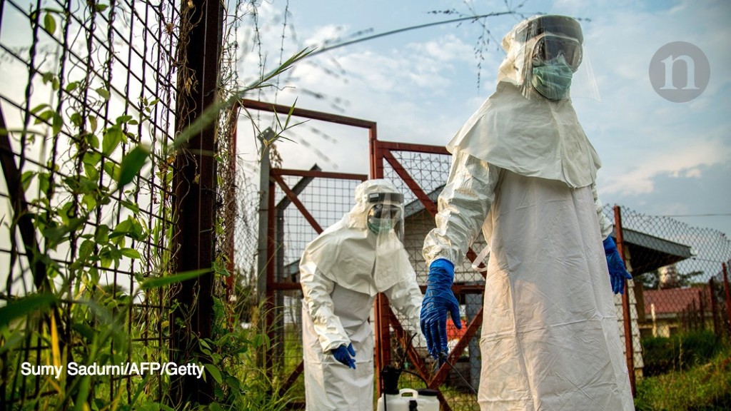 Machine learning helps to identify the animals that deadly viruses call ...