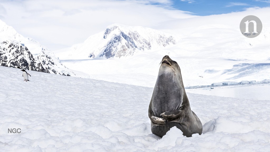 What to expect in 2019: science in the new year