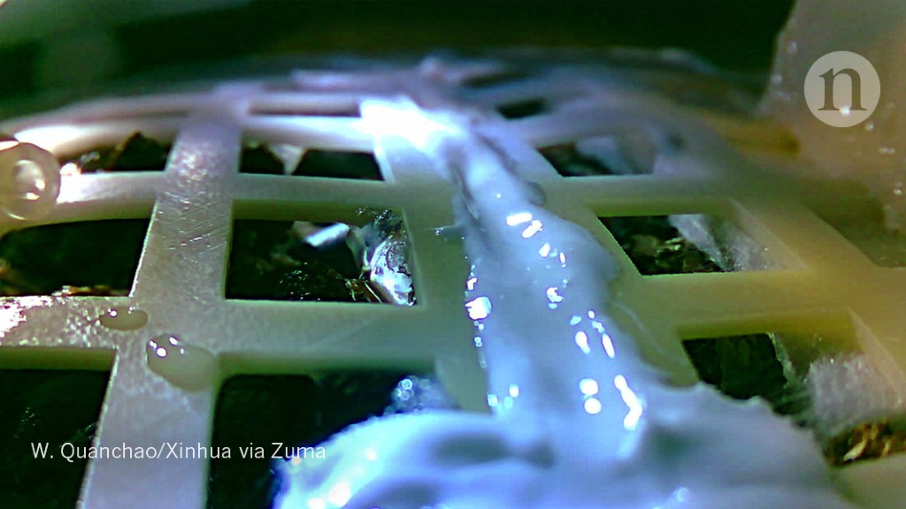 Plant sprouts on the Moon for first time ever