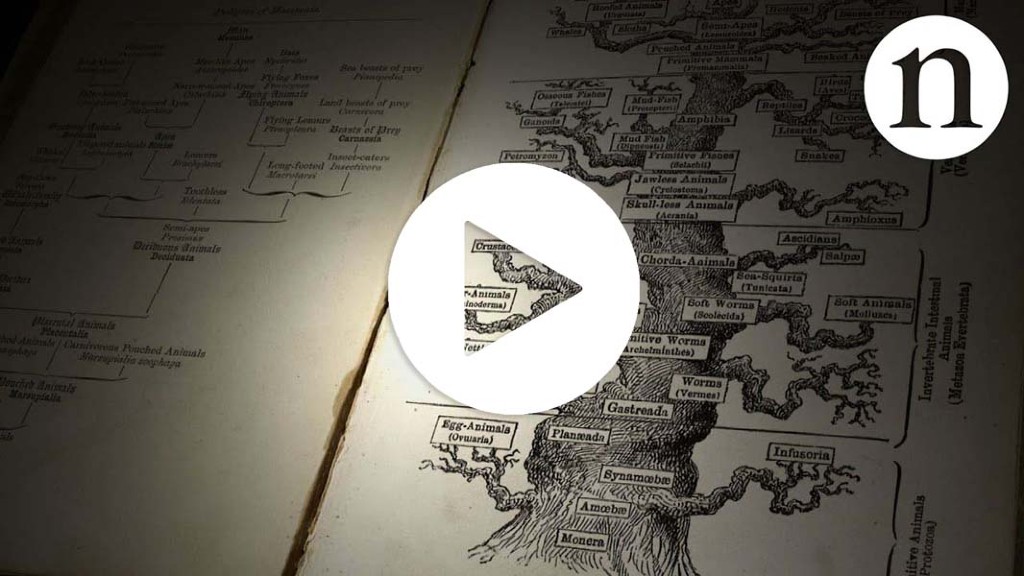 Science is Beautiful