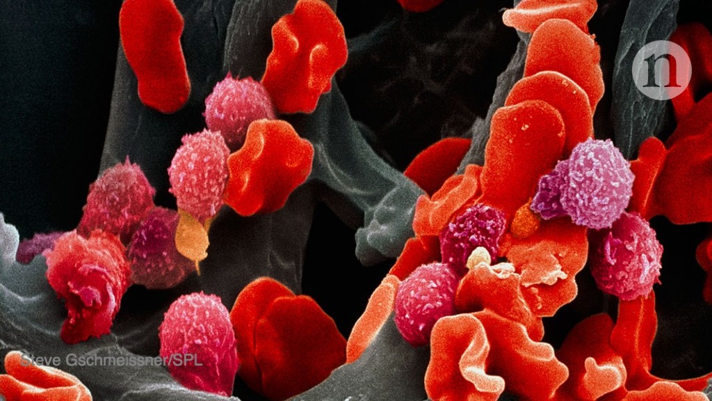 The return of cancer’s magic bullet