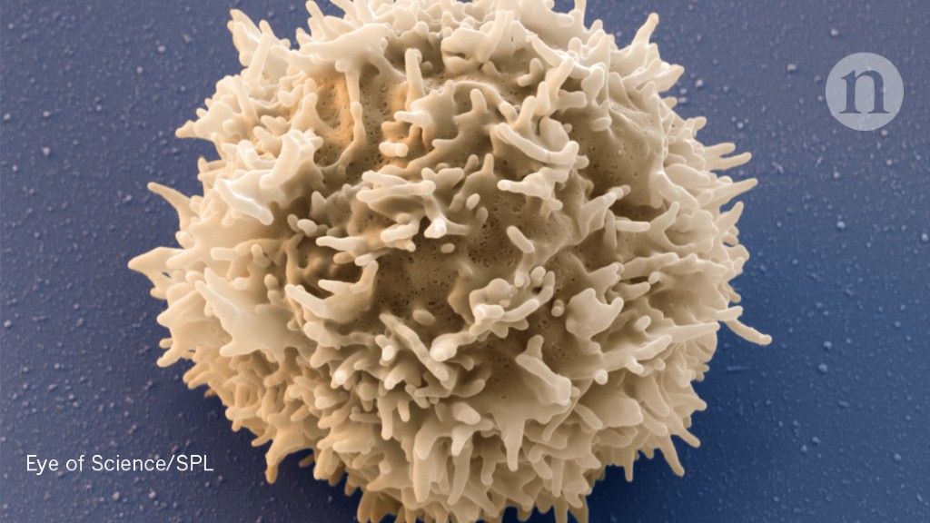 A cancer therapy’s grave dangers subside after a little fine-tuning