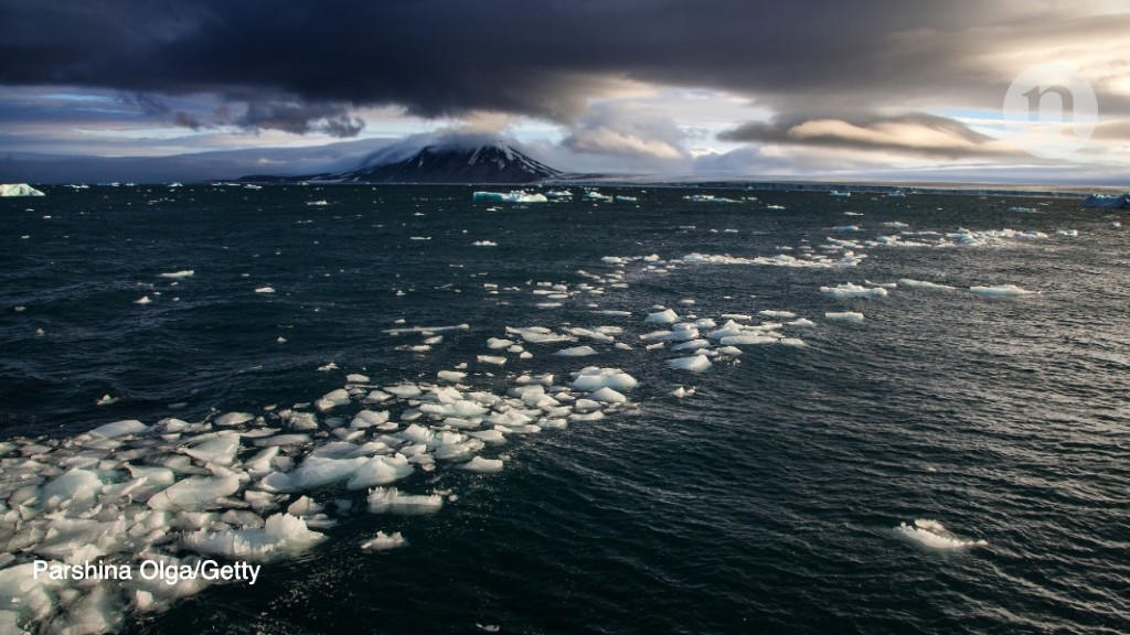 Hundreds of thousands of marine viruses discovered in world's oceans