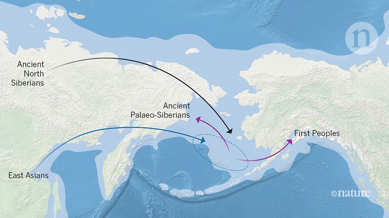 The lineages of the first humans to reach northeastern Siberia and the ...