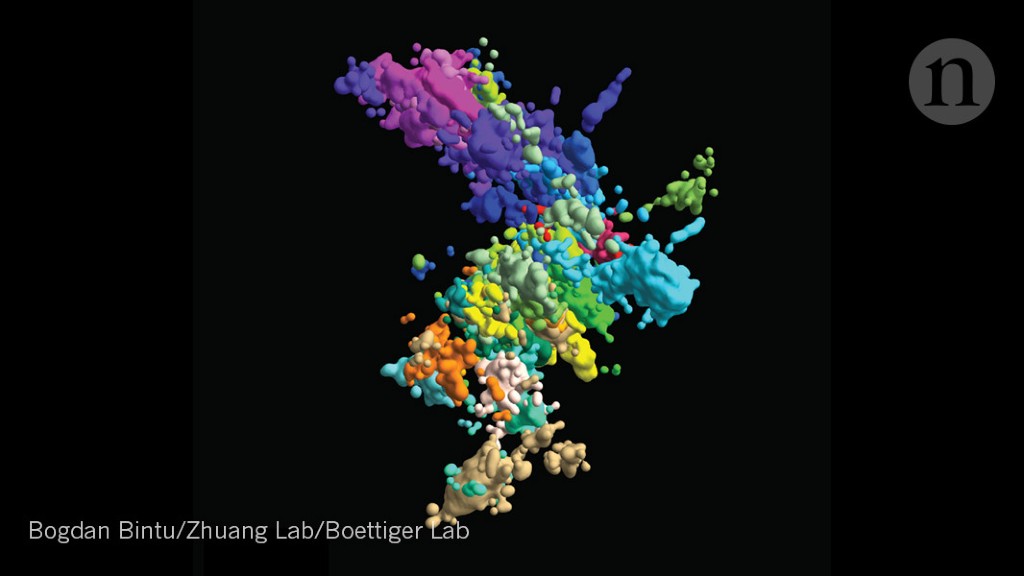The new techniques revealing the varied shapes of chromatin