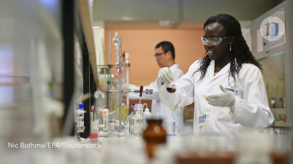 Black academics publish one-fifth of South Africa’s research