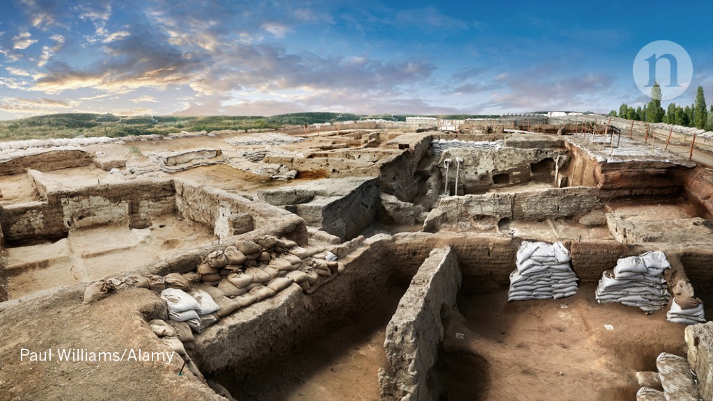 Ancient poos show intestinal benefits of life in a crowded town