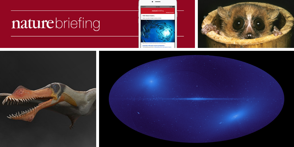 Daily briefing: An X-ray map of the Universe