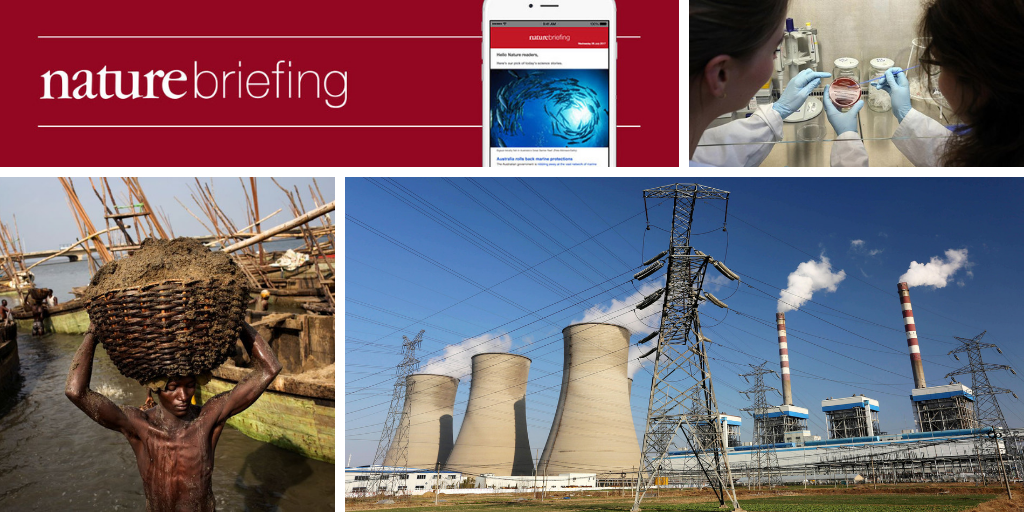 Daily briefing: There are already too many power plants
