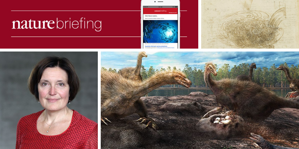 Daily briefing: Leonardo da Vinci’s voracious explorations of fluid ...