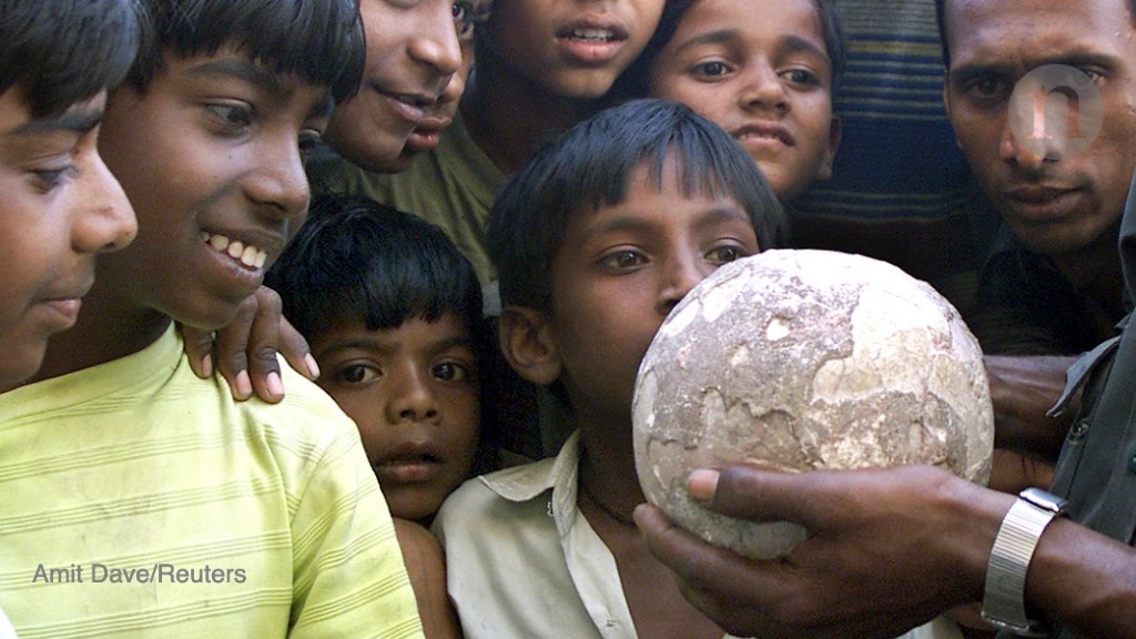 India’s geologists champion law to protect fossil treasures