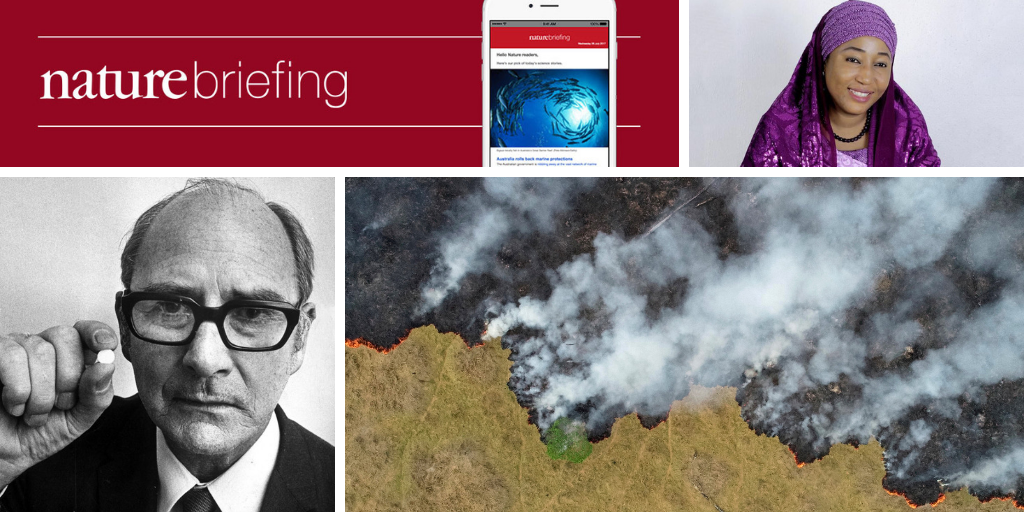 Daily briefing: Press pause on facial-recognition technology