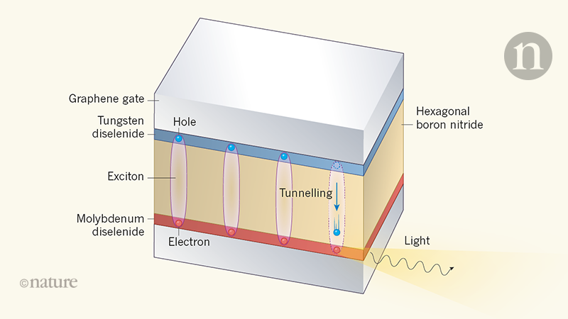 Two-dimensional semiconductors host high-temperature exotic state