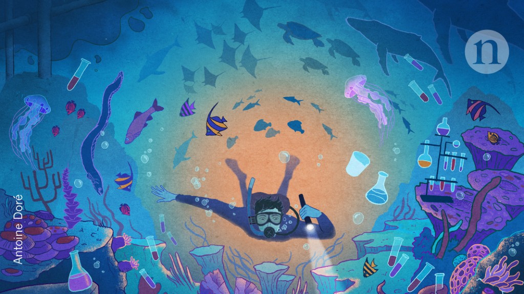 Total immersion: re-imagining the ocean