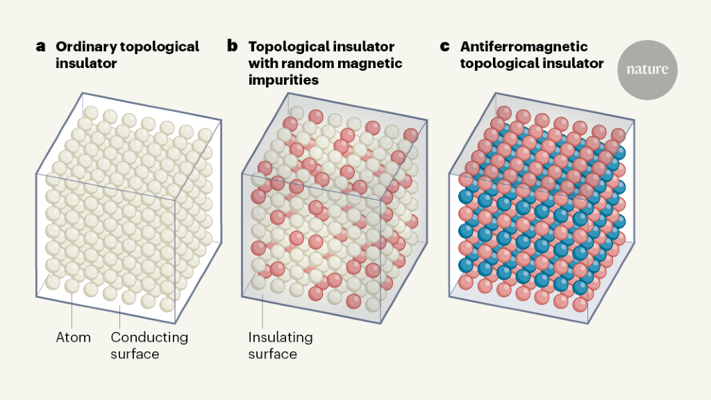 Magnetic and topological order united in a crystal