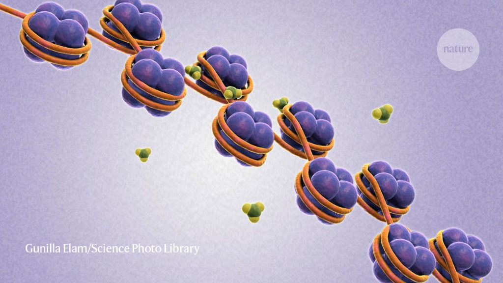 Nova Sciencenow Epigenetics Video Extra Pbs