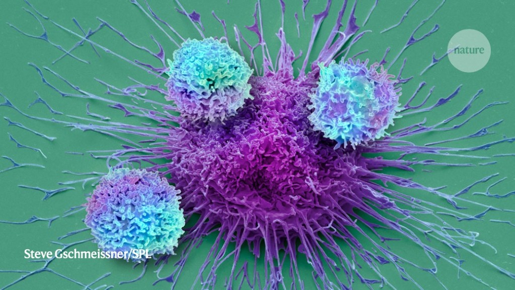 Supercharged immune cells shrink tumours with RNA vaccine’s help