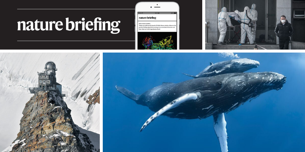 Daily briefing: Alan Turing’s stolen archive has turned up in Colorado