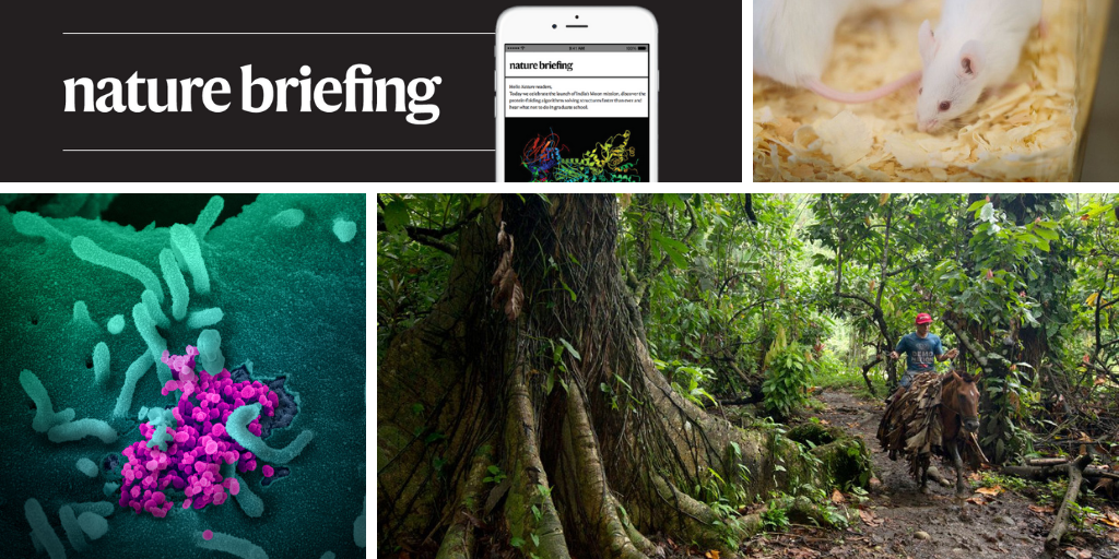 Daily briefing: The quick, cheap way to lower carbon emissions and save species