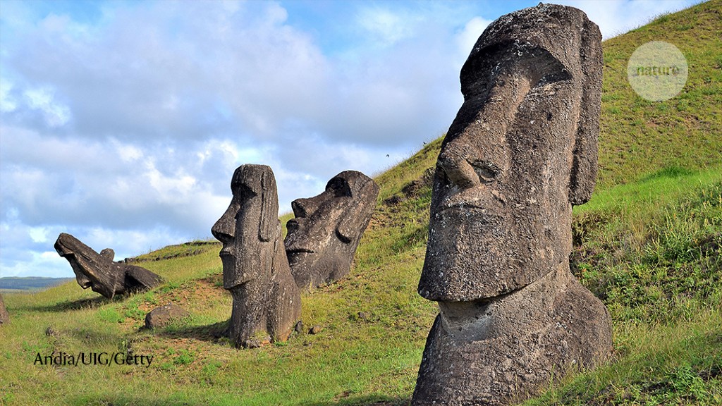 Panicking about societal collapse? Plunder the bookshelves
