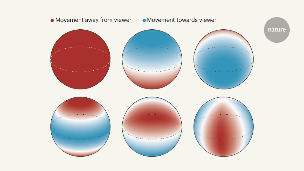 A glimpse inside δ Scuti stars