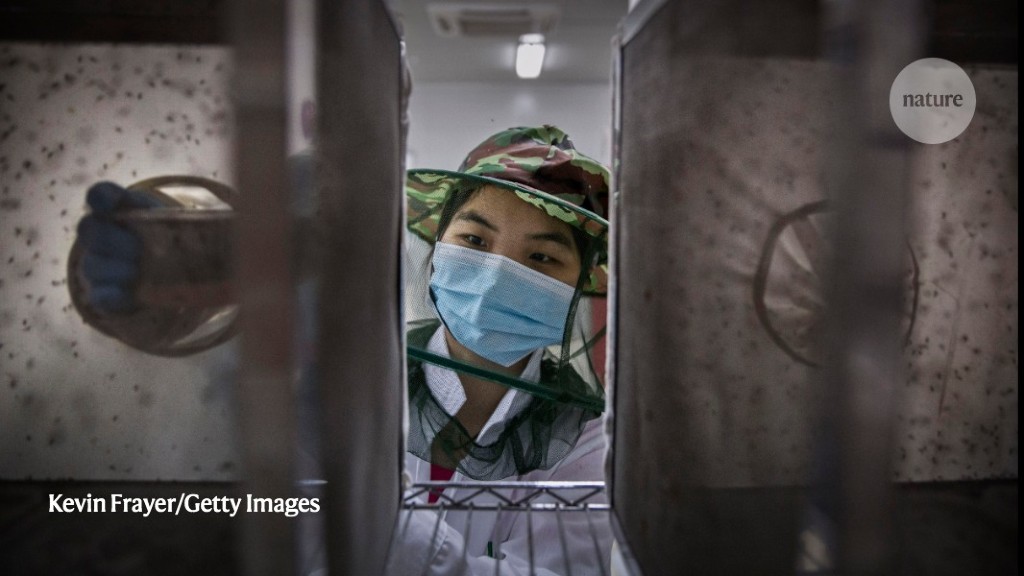 Fast-rising research institutions 2020