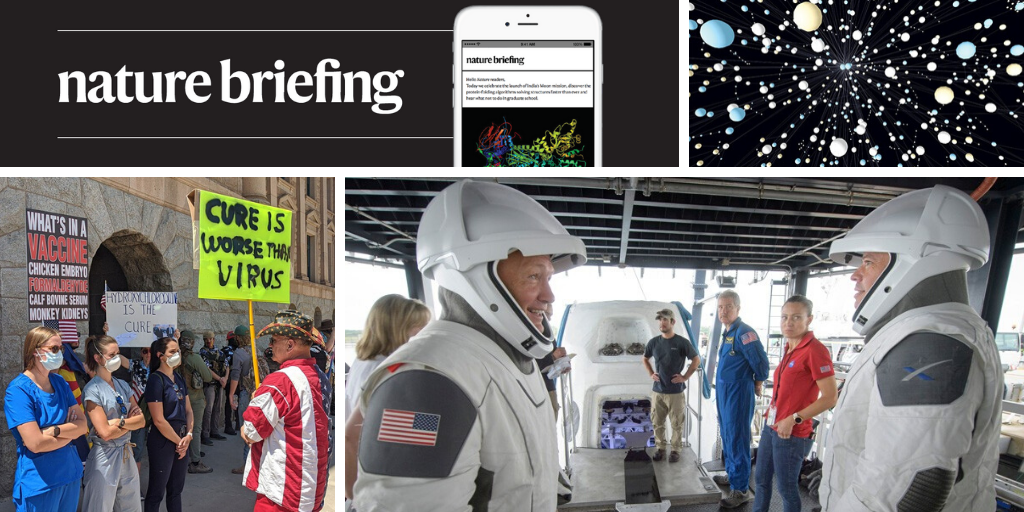 Daily briefing: How scientific illustrators have made the coronavirus ...