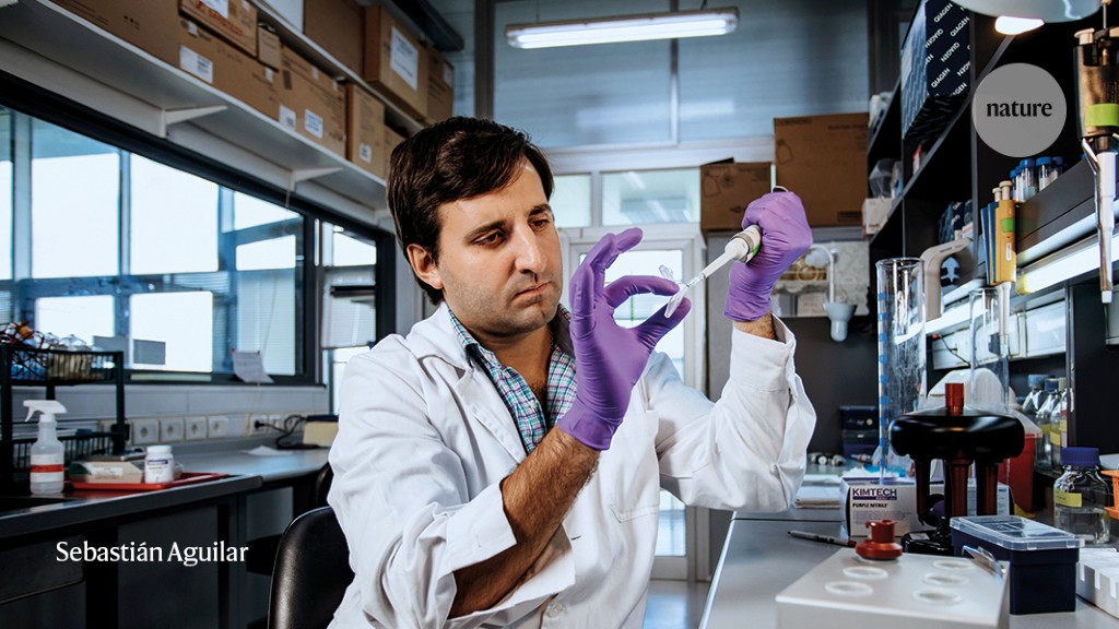 The biologist on the hunt for extracellular ribosomes