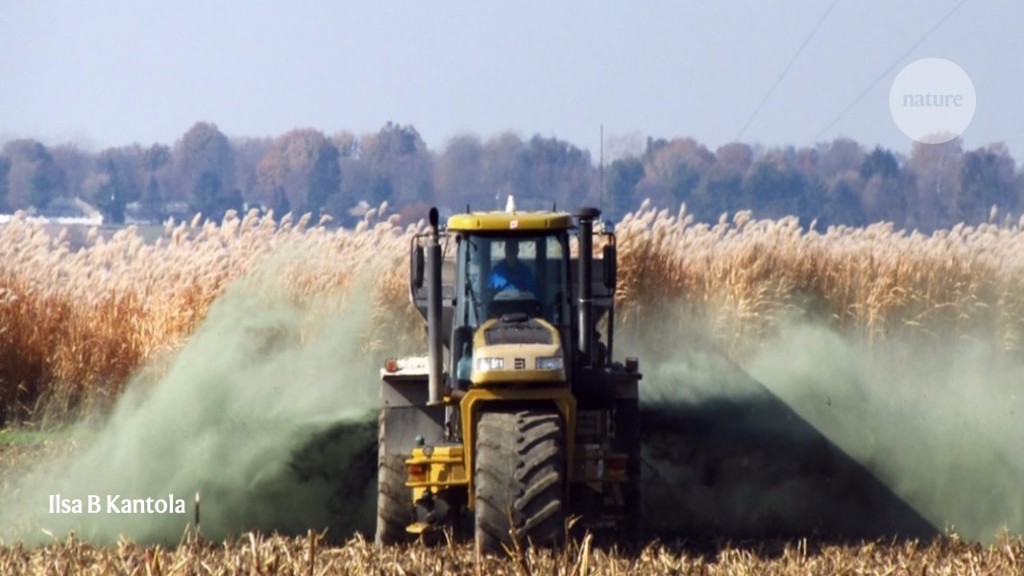 Removal of atmospheric CO2 by rock weathering holds promise for ...