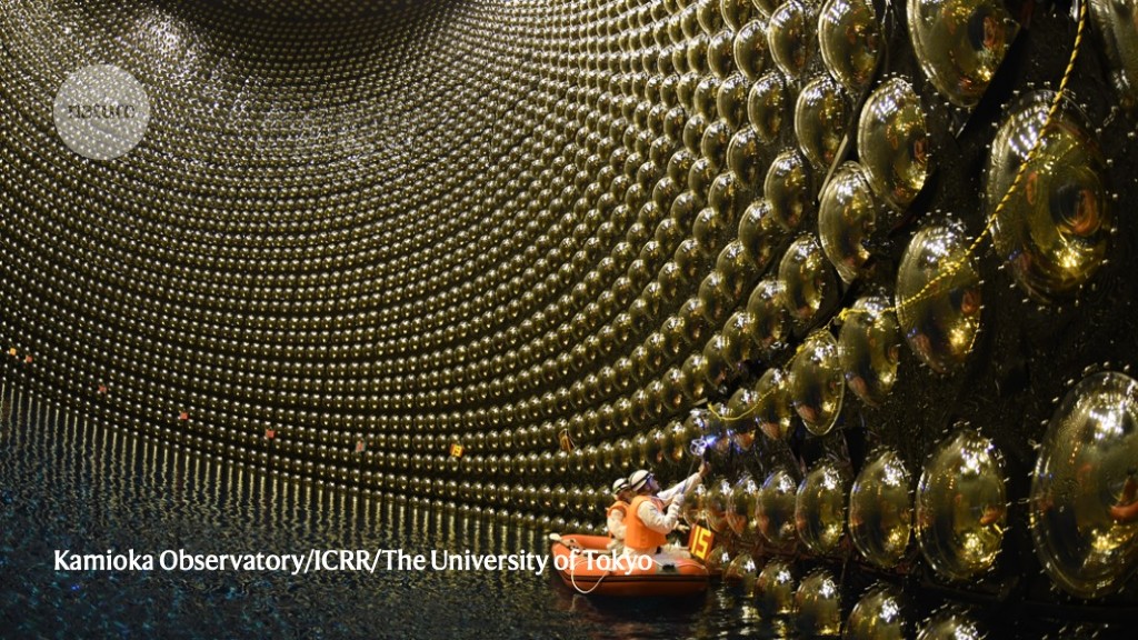 Viruses, microscopy and fast radio bursts: 10 remarkable discoveries ...